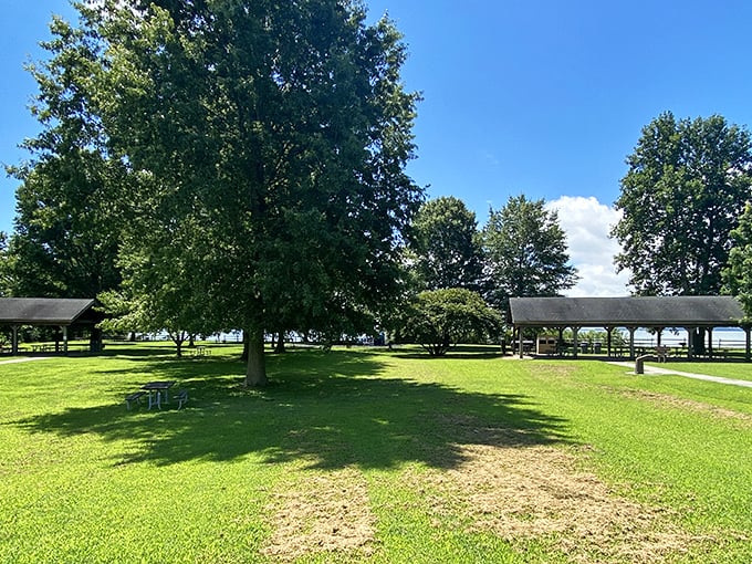 Summer's main stage: where picnic shelters stand like sentinels guarding the perfect family gathering spot.