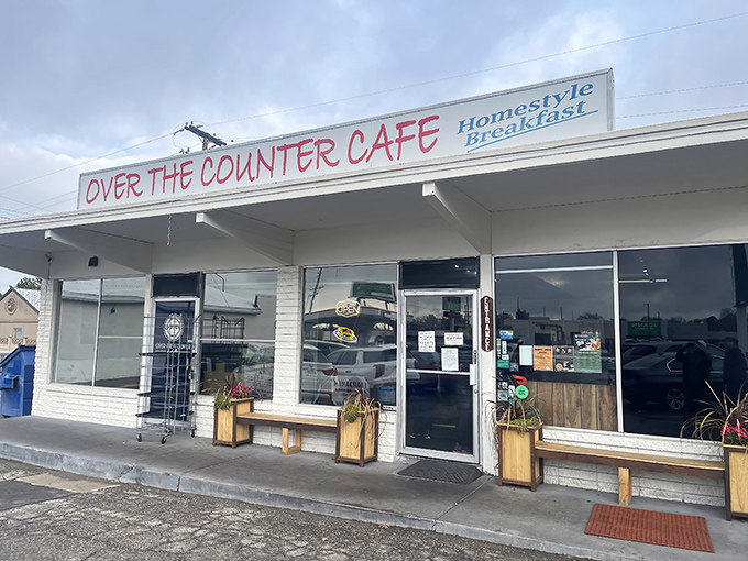 Over the Counter Caf&eacute; keeps it simple: good food, honest prices, and no fancy tricks needed. 