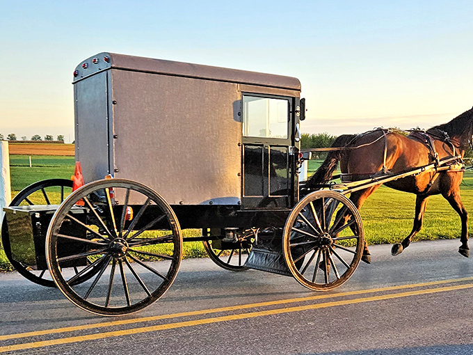 Horse power of a different kind! This sleek buggy moves through Bird-in-Hand with the efficiency of a well-oiled machine.