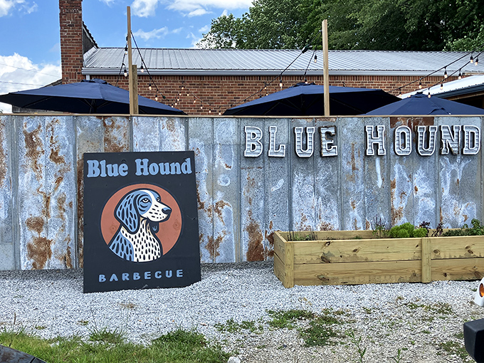 Blue Hound's weathered metal siding and rustic sign tell you everything &ndash; this is a no-frills spot where the smoke does the talking.