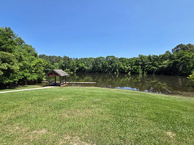When the water reflects the trees this perfectly, Mother Nature's showing off her mirror trick at Bogue Chitto's peaceful riverside retreat.