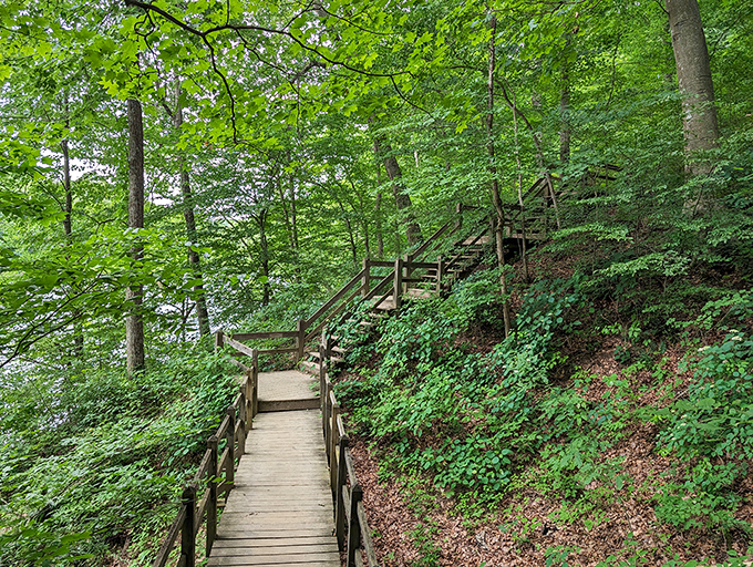 Wooden boardwalks guide you through nature's masterpiece, one careful step at a time.