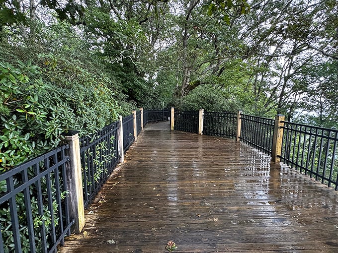 This wooden boardwalk leads to views so spectacular, you'll forget all about your creaky knees.