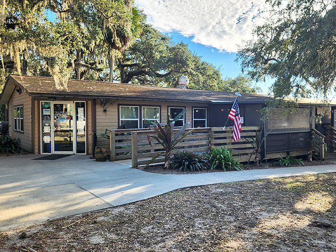 Captain's BBQ nestles under Florida oaks like a barbecue fairy tale. That American flag and rustic wood exterior promise authentic flavors inside.