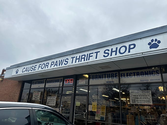 Cause for Paws combines bargain hunting with animal rescue. That paw print logo tells you exactly where your dollars are going!