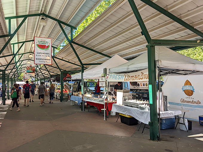 Under the green-framed pavilion, Davis Farmers Market offers shelter from the sun and a feast for the senses.