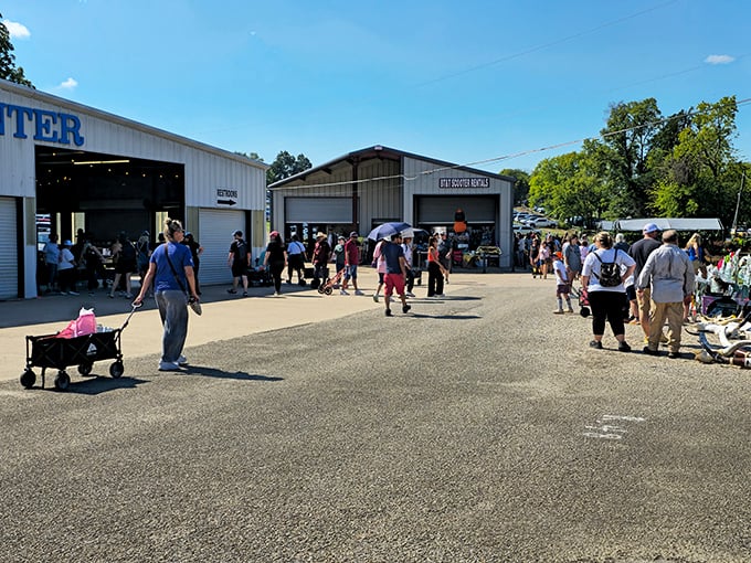 Small town, big market! First Monday Trade Days' pavilions stretch across the horizon, promising discoveries at every turn.
