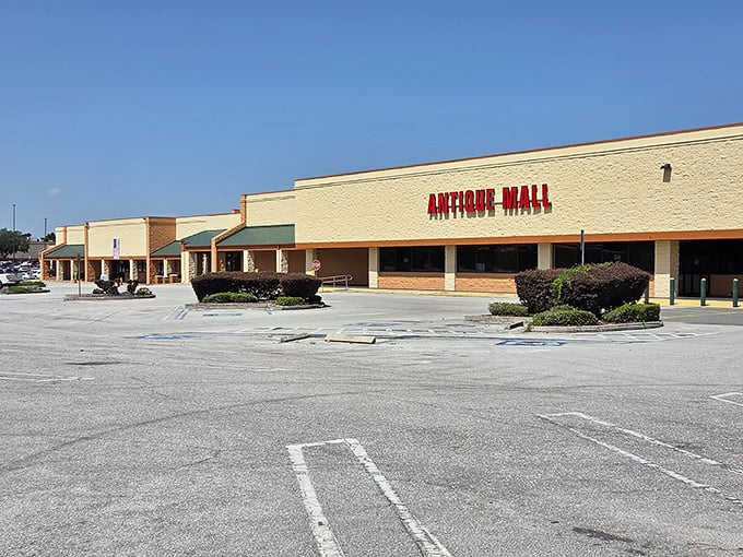 Florida's Antique Mall stretches into the horizon, a warehouse of wonders where time stands still but shoppers never do.