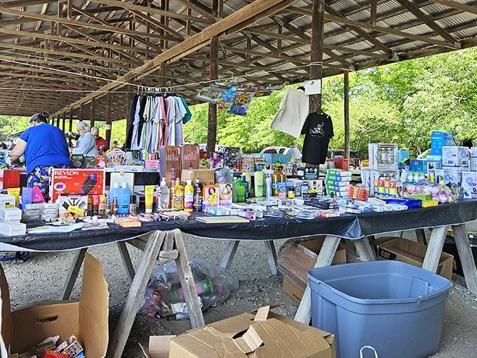 Under this rustic wooden canopy, everyday items transform into potential treasures. The thrill of the hunt begins here!
