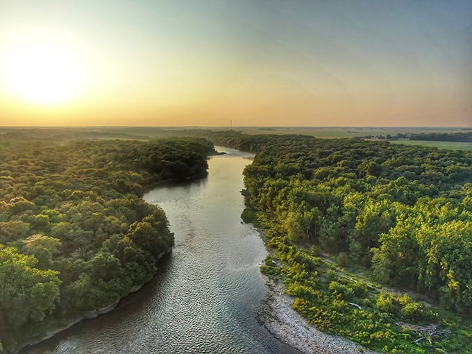 The Kankakee River winds through lush forests like a silver ribbon, inviting paddlers to discover its gentle secrets.