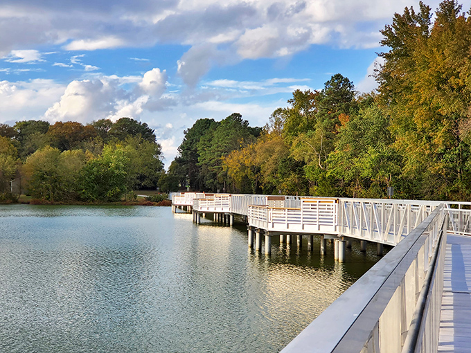 The boardwalk at Killens Pond stretches into autumn splendor, inviting you to walk among trees dressed in their fall finest. Nature's runway show is always in season!