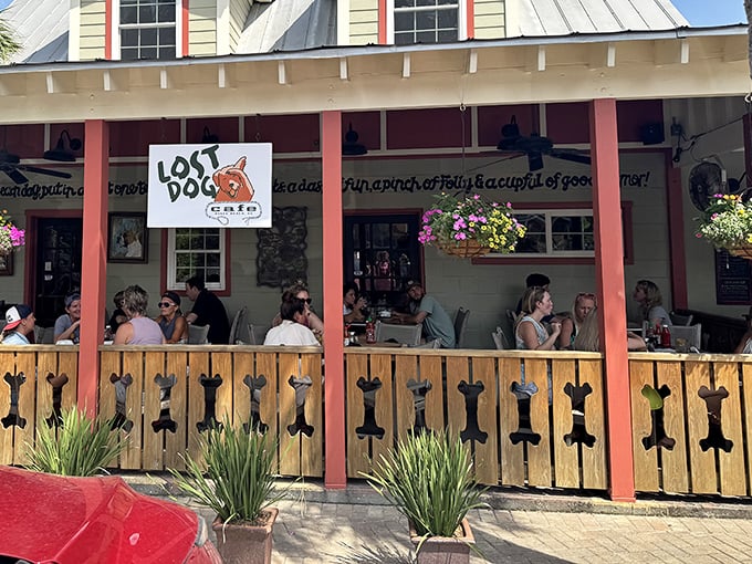Lost Dog Cafe: Where breakfast comes with a side of whimsy. That dog-bone fence tells you they don't take themselves too seriously—just their food.
