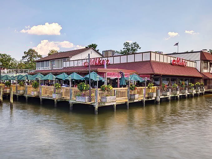 Mike's Crabhouse perches on the water like a postcard come to life. Those green umbrellas are calling your name on a sunny Maryland day.