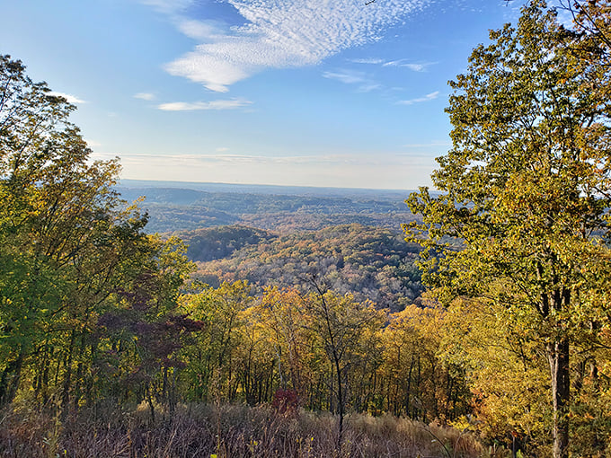 Fall's greatest fashion show happens right here at Morrow Mountain, where trees dress in their finest reds and golds before winter's big sleep.
