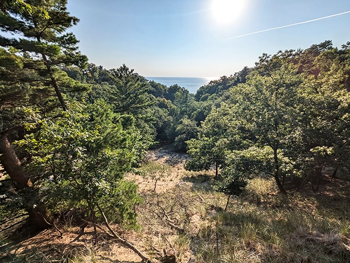 The reward at the end of the trail! Hoffmaster's beach views make every drop of hiking sweat absolutely worth it.