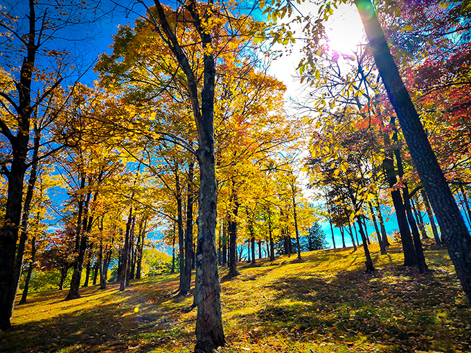 Fall's fashion show at Pere Marquette &ndash; where trees dress in their Sunday best. Golden hour has never looked so golden.