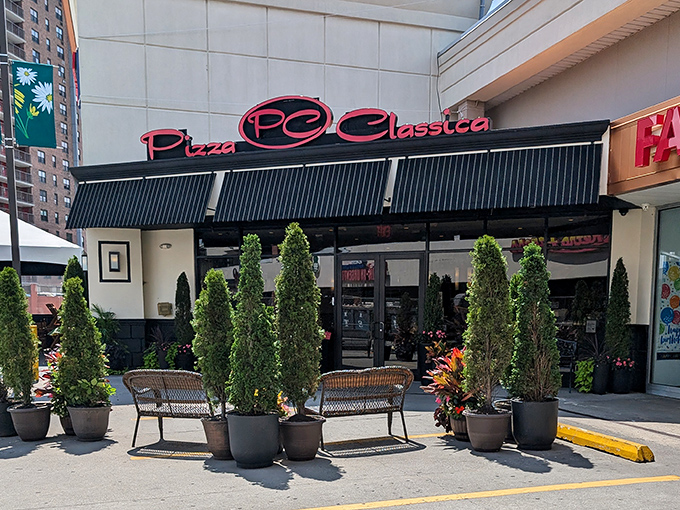 Pizza Classica: Elegant simplicity at Pizza Classica, where those potted cypress trees stand guard over some of Queens' finest pies.