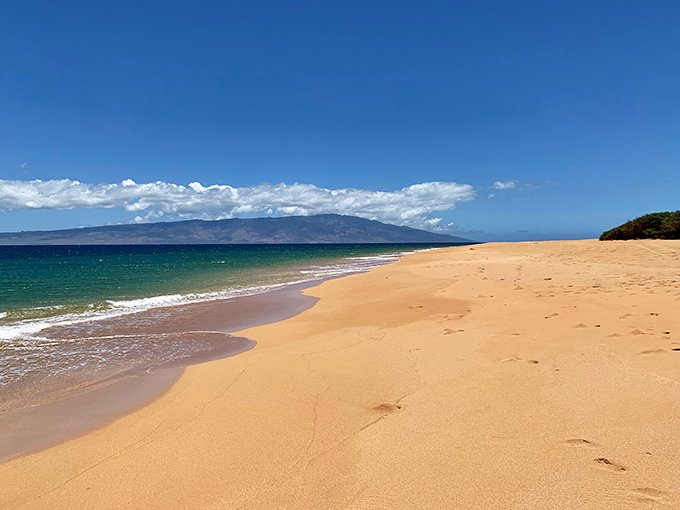 Polihua Beach offers that "end of the world" feeling where your footprints might be the only ones you'll see all day. The perfect spot for introvert beach lovers!