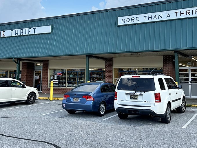 Prime Thrift's two-story wonderland features beautiful wooden floors and enough space to lose yourself for hours.