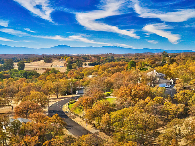 Fall colors paint the landscape in gold and amber, proving California does have seasons after all.