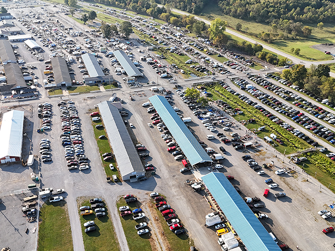 Rogers Flea Market from above looks like a festival of finds&mdash;where parking spots are as coveted as the treasures inside.