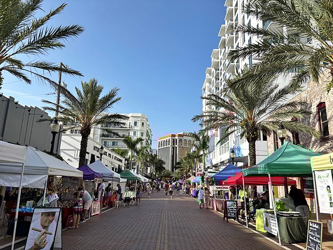 Strolling through Sarasota's market feels like walking through a movie set where the extras are all carrying fresh produce and smiling.
