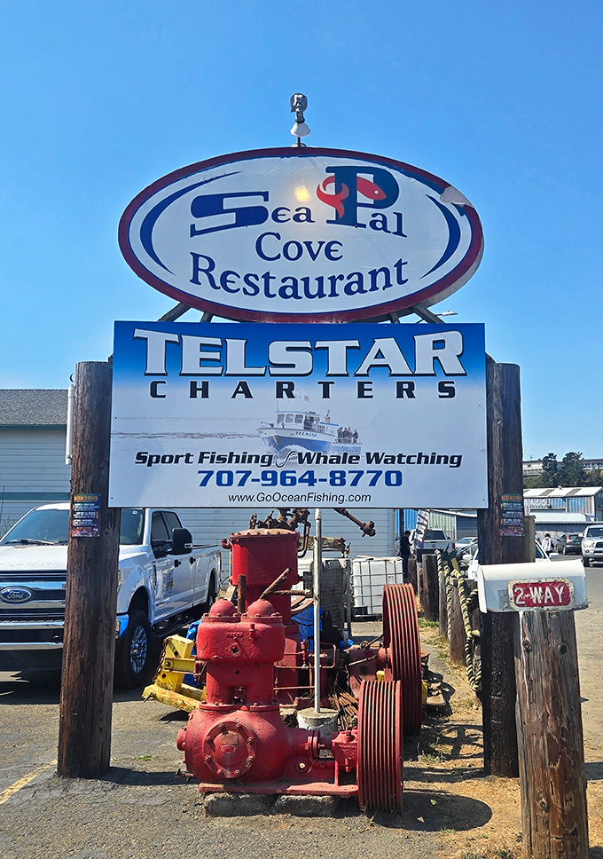 Sea Pal Cove's vintage sign promises the freshest catch in Fort Bragg. That fire hydrant's seen more happy seafood lovers than a tartar sauce factory.