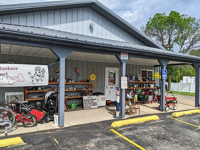 Step inside Shaggy's where weather worries disappear and the only forecast is a 100% chance of fantastic finds.