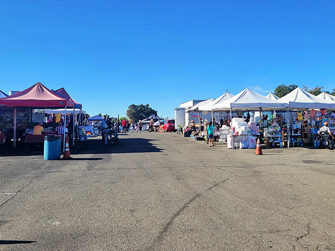 Under the brilliant blue California sky, white tents stand like sails on an ocean of asphalt possibilities.