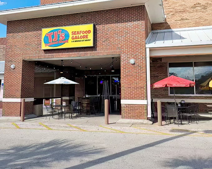 Brick and mortar never looked so appetizing &ndash; TJ's proves strip mall magic exists.