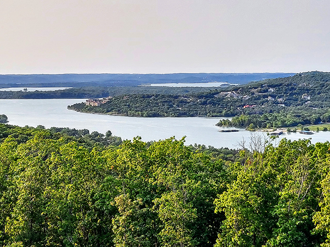 Table Rock Lake stretches to the horizon like a blue highway. Those rolling Ozark hills create a backdrop worthy of a travel magazine cover.
