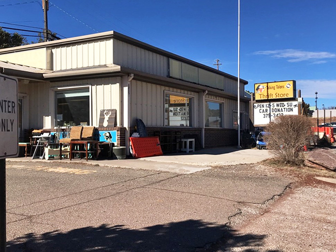 Talking Talons Thrift Store might look unassuming, but don't be fooled&mdash;this Cedar Crest gem hides mountain-worthy treasures behind its modest exterior.