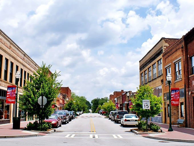 Toccoa's main street has that "Norman Rockwell painting comes to life" quality that big cities spend millions trying to recreate.