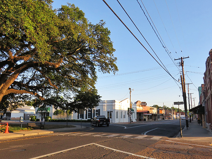 Massive oak trees stand guard over Abbeville's streets. Nature's air conditioning system working overtime in this charming town.