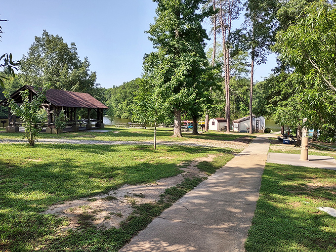 Picnic paradise found! Bear Creek Lake's shaded pathways lead to charming rest areas where memories are just waiting to happen.