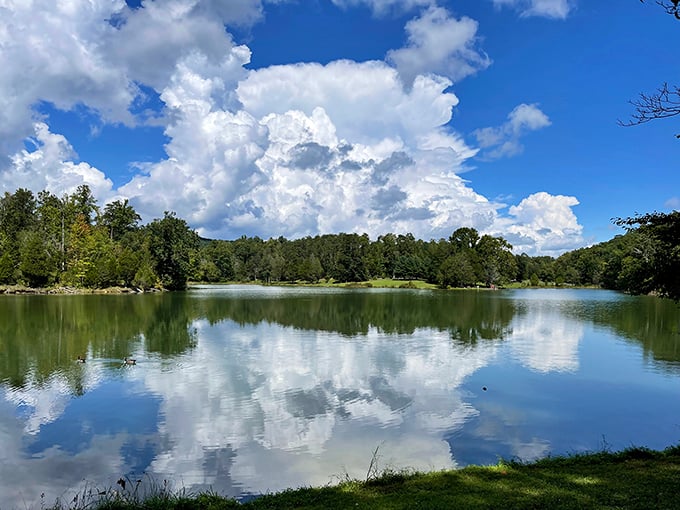 When the sky meets water this perfectly, you know you've found Tennessee's natural mirror.