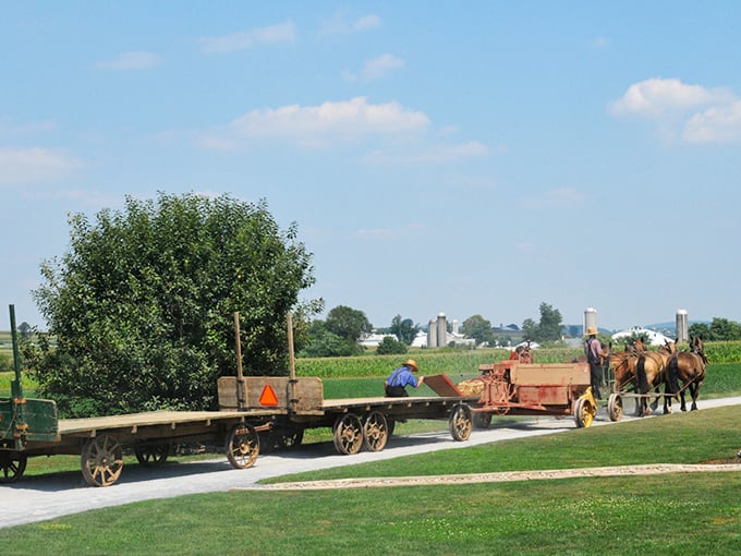 Amish farmers use horse-drawn wagons to transport equipment and crops across the fertile farmlands of Lancaster County.
