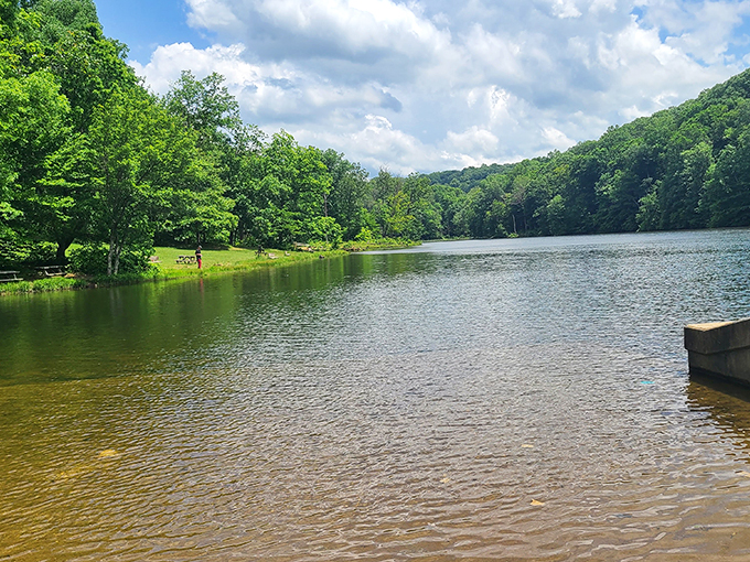 Crystal clear waters mirror the surrounding forest at Brown County State Park. Mother Nature's infinity pool, Indiana-style.