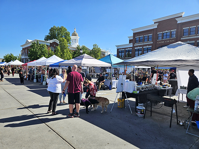 The courthouse backdrop adds old-world charm to this delightful outdoor shopping adventure in Cache Valley.