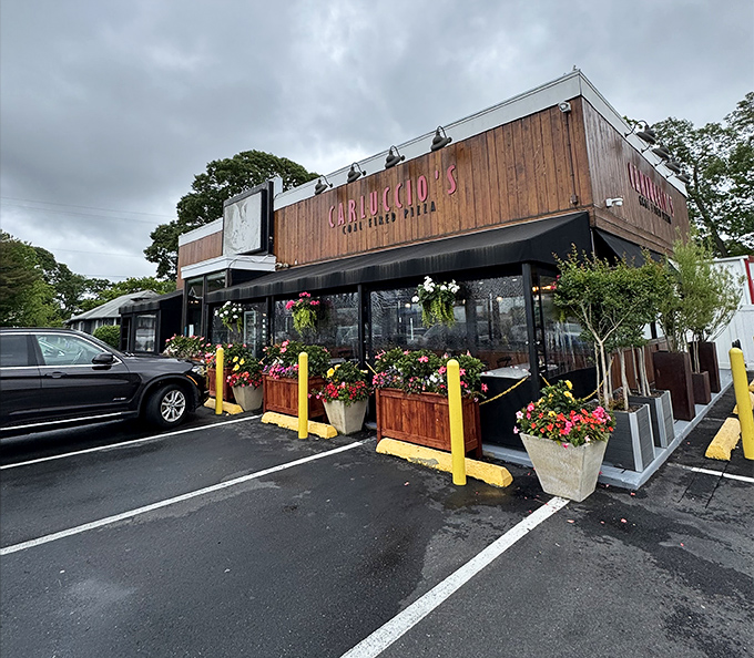 Like a cozy cabin that happens to serve extraordinary pizza, Carluccio's charms from every angle.