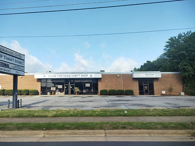 Shopping at Cause for Paws feels like a community effort. One person's castoffs become another's treasures&mdash;and help furry friends too!