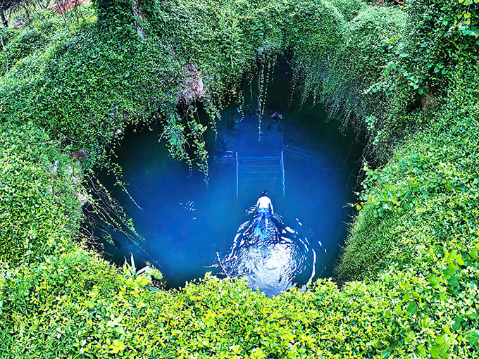 Swimming in a prehistoric cave with sunlight filtering through? Devil's Den makes time travel feel surprisingly refreshing.