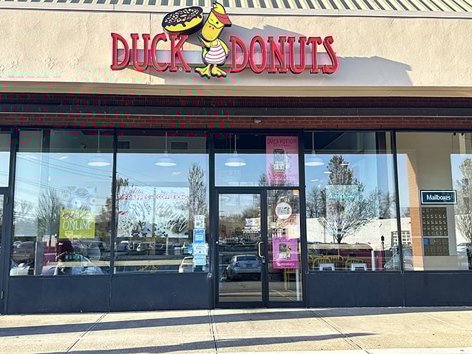 Clean, bright, and ready for action - like a donut laboratory where sweet dreams become reality. 