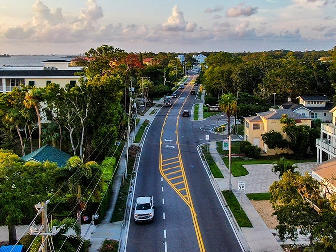 Dunedin: Main Street looks like it was designed by someone who couldn't decide between "charming coastal town" and "let's make this place pop with color!"