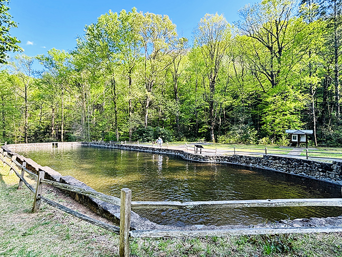 Crystal-clear mountain water that makes your hometown creek look like chocolate milk by comparison.