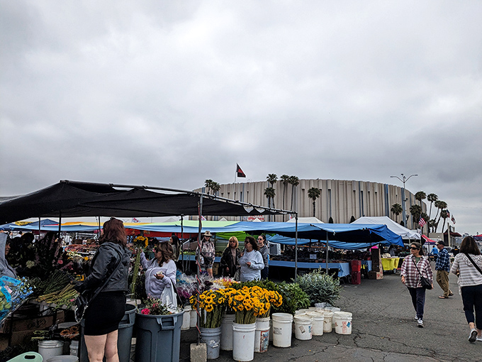 Where treasure hunting meets fresh flowers. Nothing brightens a day of deal-seeking like sunflowers standing at attention in their bucket battalions.