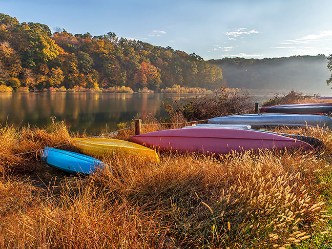 Autumn paints Lititz's lake with golden light. Those colorful canoes are just begging for an afternoon adventure!