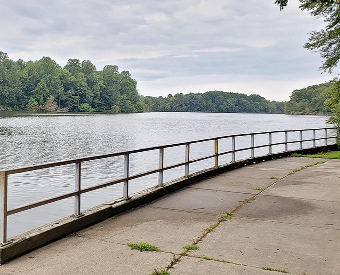Lums Pond stretches out like a silver platter, serving up serenity with a side of spectacular reflections.