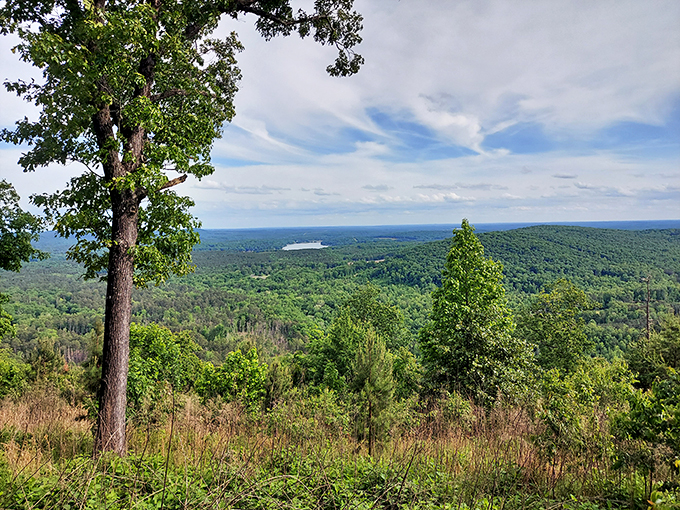 Cloud-watching from below or above? At Morrow Mountain's lake, the sky gets so perfectly duplicated you might forget which way is up.