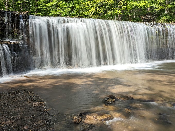 Hidden Falls cascades down in a gentle curtain of water, nature's version of a spa treatment without the awkward small talk.